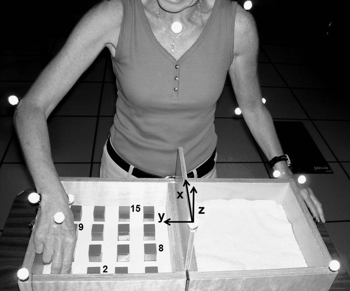Modified Box and Blocks Test with Motion Capture – BLINC Lab